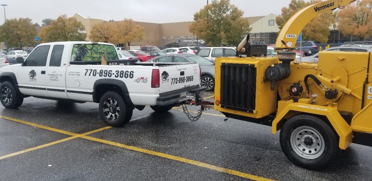 Reliable Treemax Tree Service - TreeMax Expert