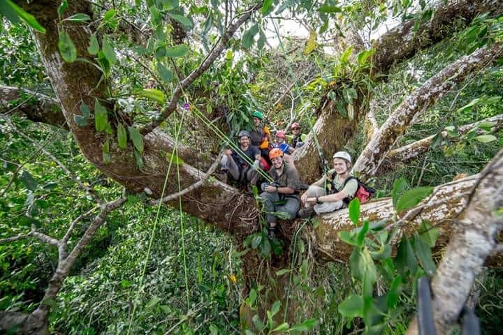 TreeMax Expert Tree Service Shares Tree Removal Safety Tips - TreeMax ...